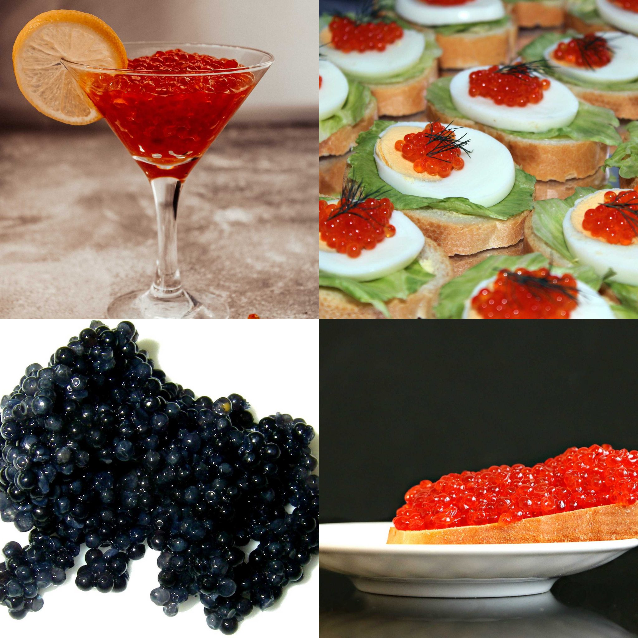 Ricette caviale - cucinareok